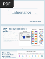 Genetics Simplified Notes | PDF | Dominance (Genetics) | Genetics