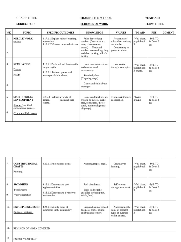 Grade 3 CTS Term 3 | PDF | Surgical Suture