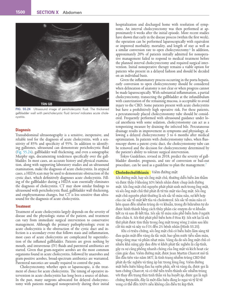 SABISTON TEXTBOOK OF SURGERY - Emedicodiary | PDF | Gallbladder | Digestive System