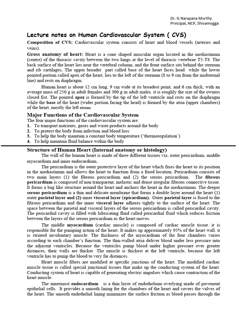 Cardiovascular System Notes | PDF | Heart Valve | Heart