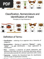 Insect Order Dichotomous Key | PDF | Insects | Arthropods