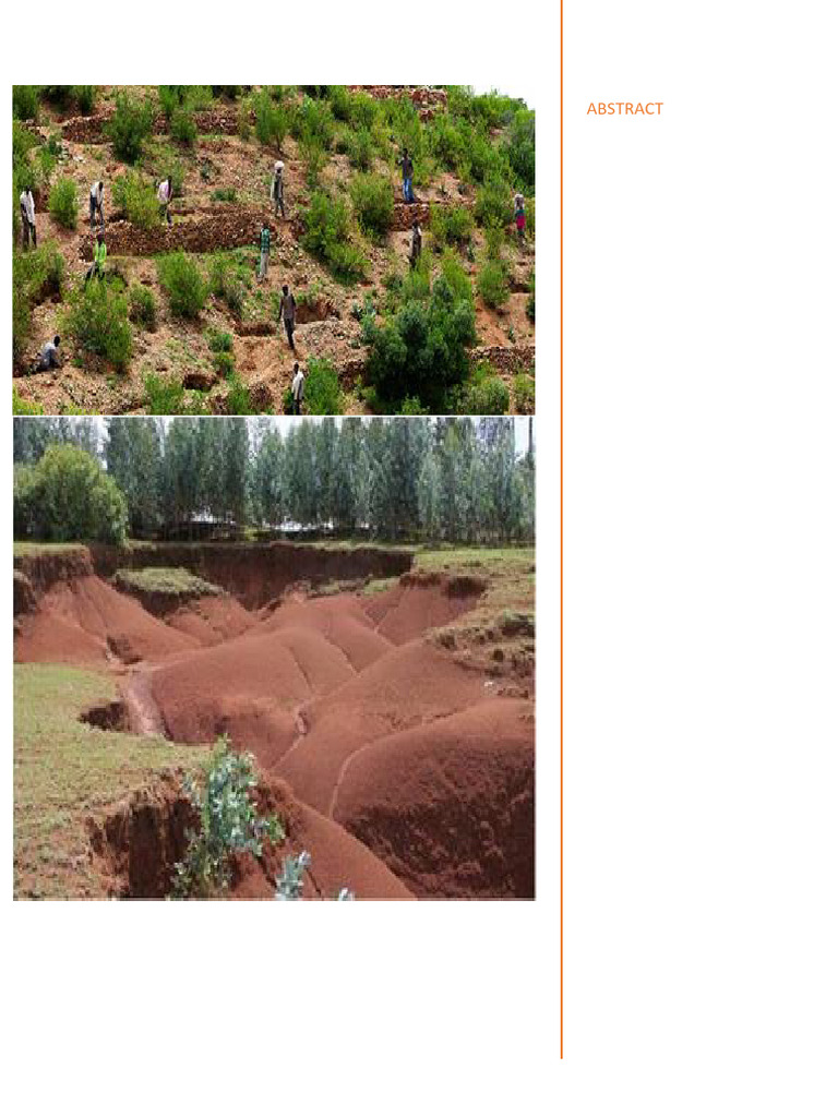 Understanding Land Degradation and Rehab | PDF | Habitat Destruction ...