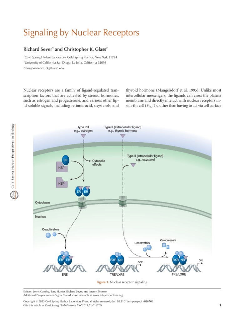 Cold Spring Harb Perspect Biol-2013-Sever-a016709 | PDF | Cell ...