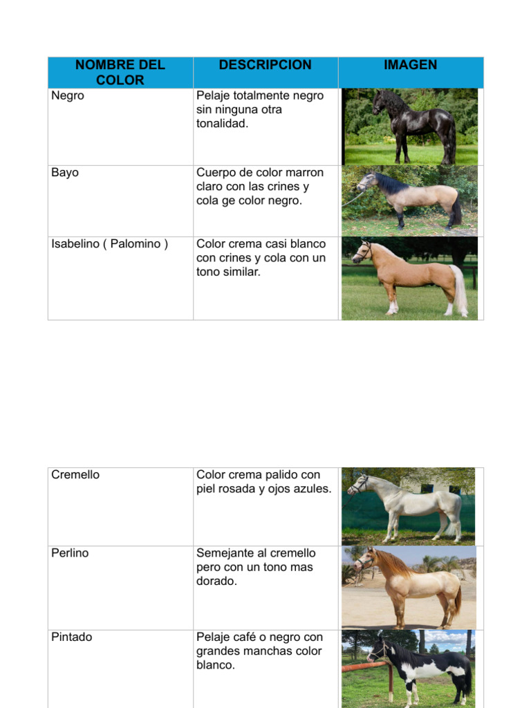 Colores y tipos de pelaje en caballos | PDF