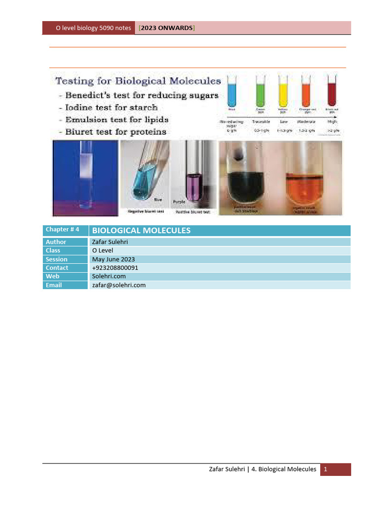 Biological Molecules-Class | PDF | Macromolecules | Biomolecules