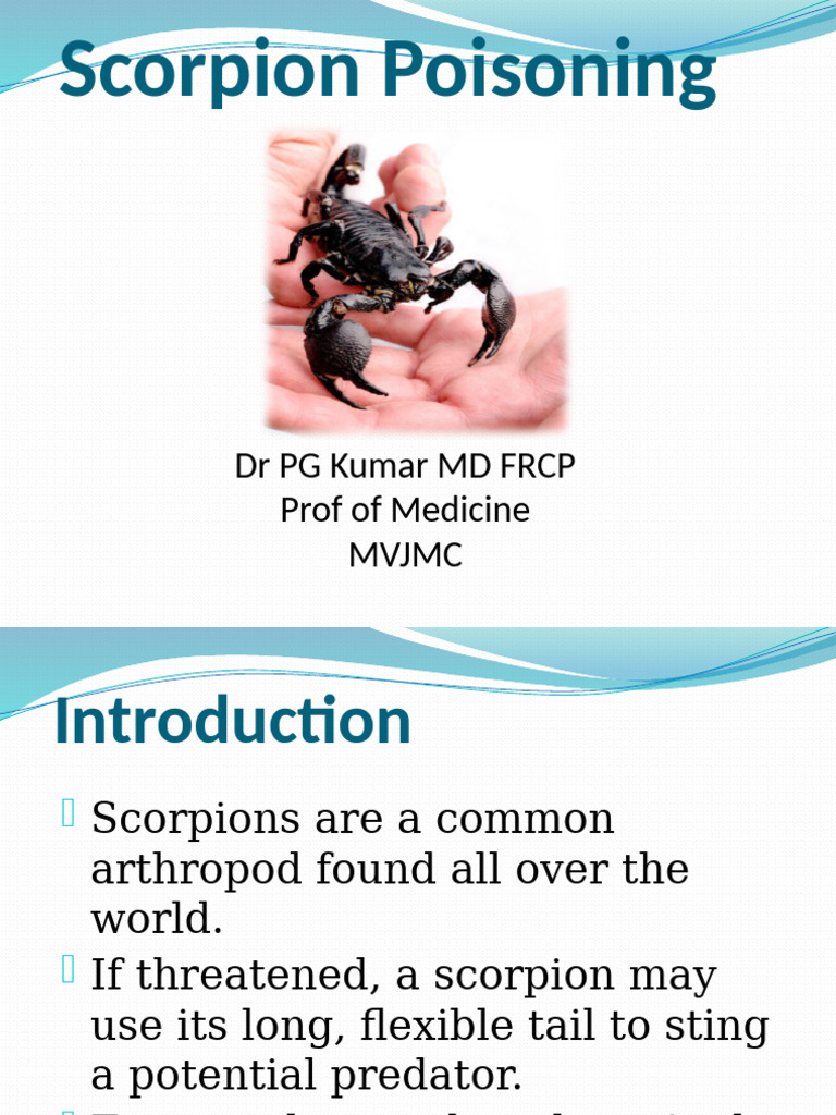 Scorpion Sting | PDF | Shock (Circulatory) | Autonomic Nervous System