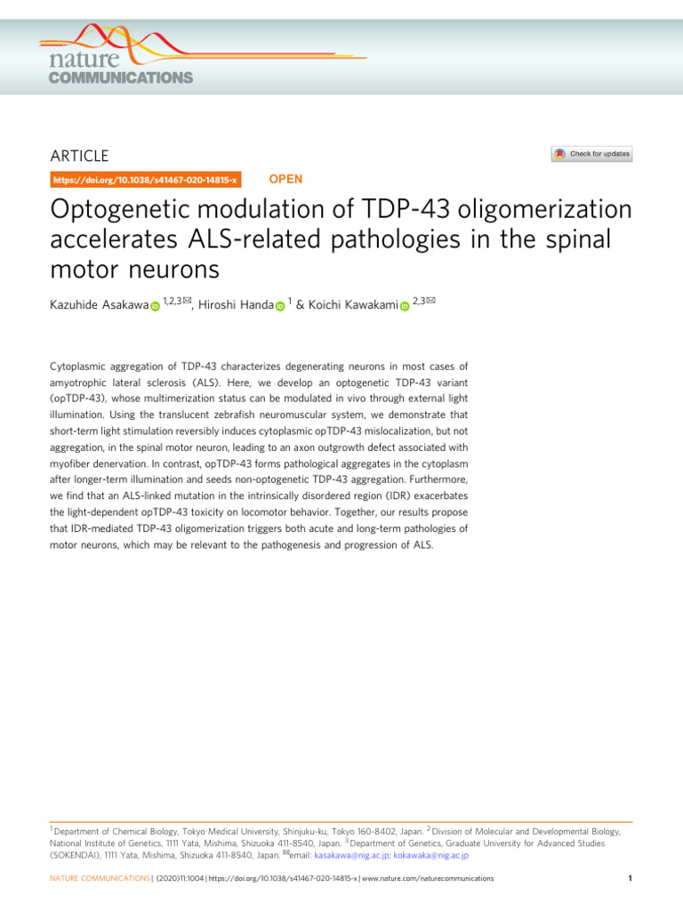 Optogenetic Modulation of TDP-43 Oligomerization Accelerates ALS ...