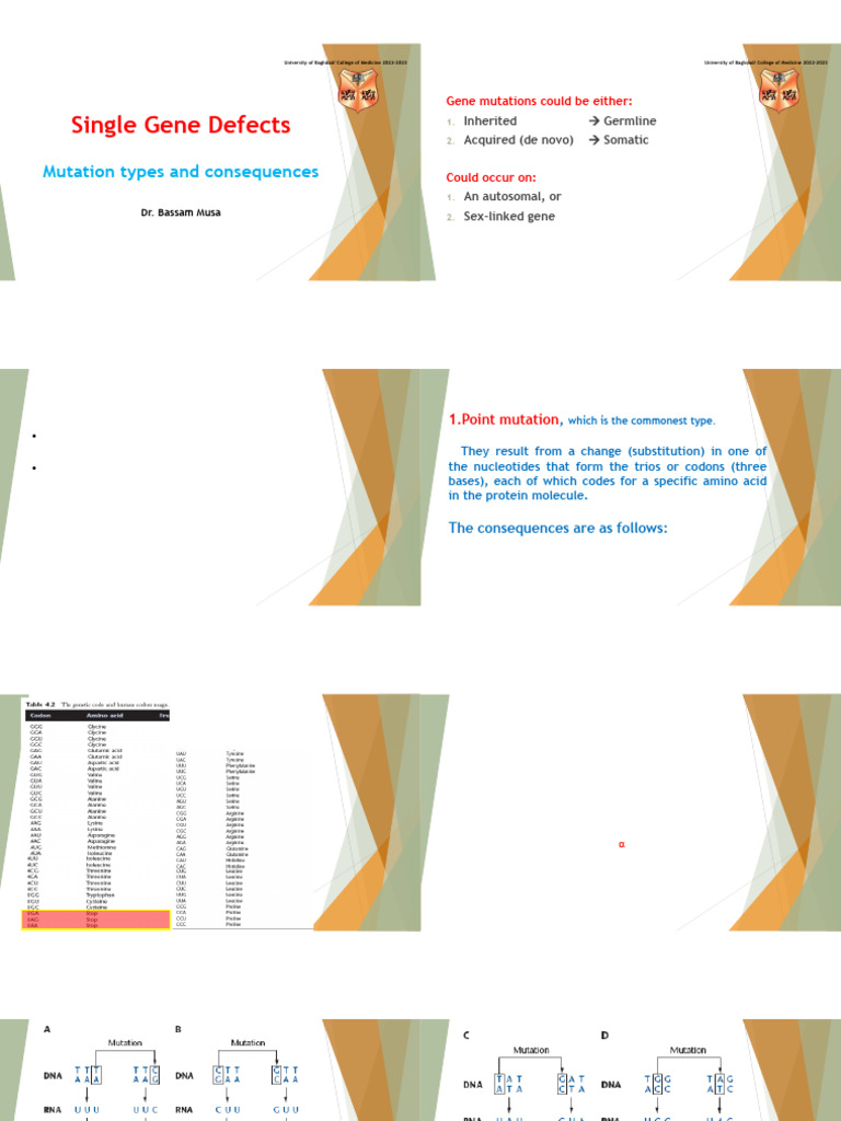 Single Gene Defects: Mutation Types & Effects | PDF | Point Mutation ...