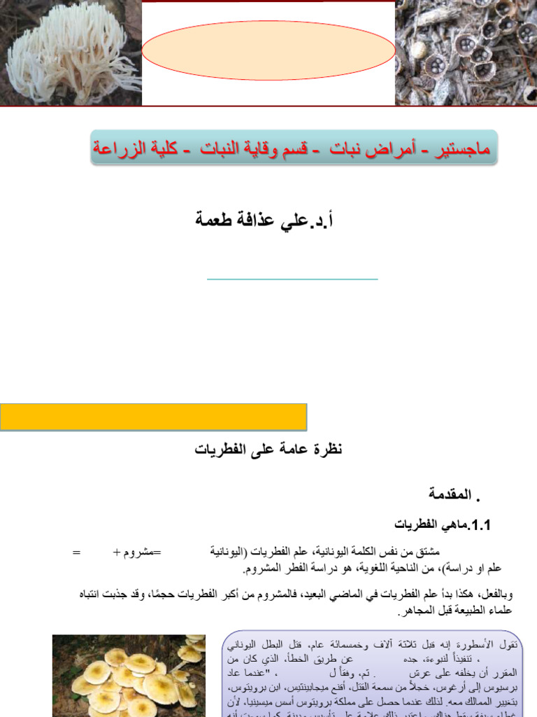 Lecture 1 Introduction to fungi | PDF
