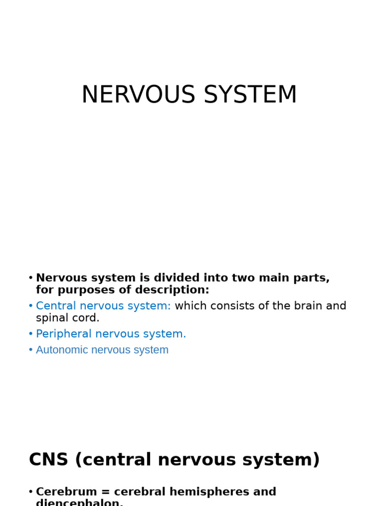 Overview of the Nervous System | PDF | Central Nervous System | Nerve