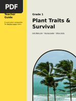 Grade 3 Plants Parts and Their Functions | PDF | Flowers | Petal