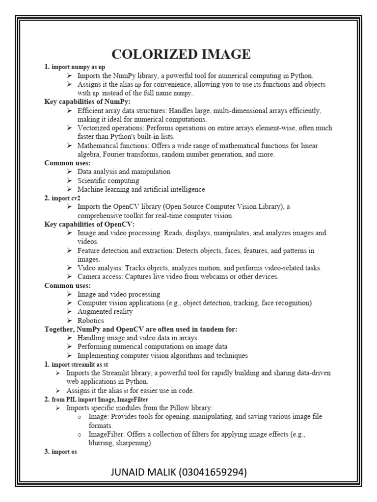 Image Colorization with Python Libraries | PDF | Computer Vision ...