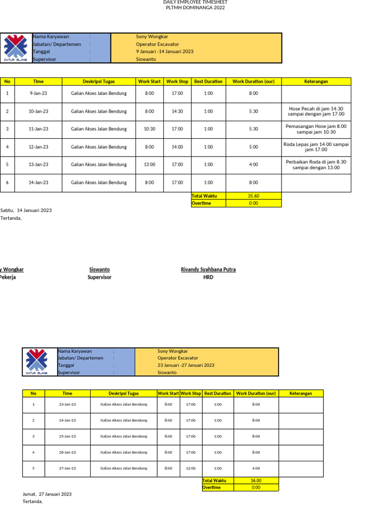 Timesheet Soni | PDF
