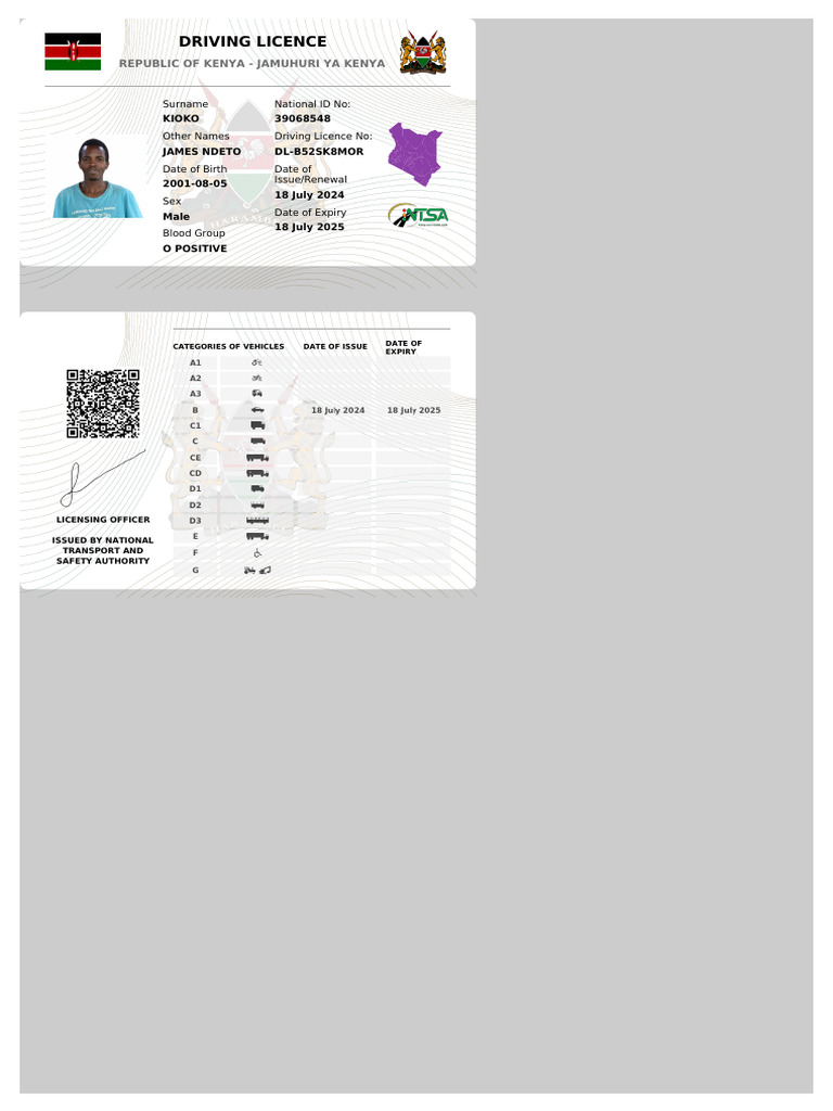 Kenyan Driver's License Details | PDF