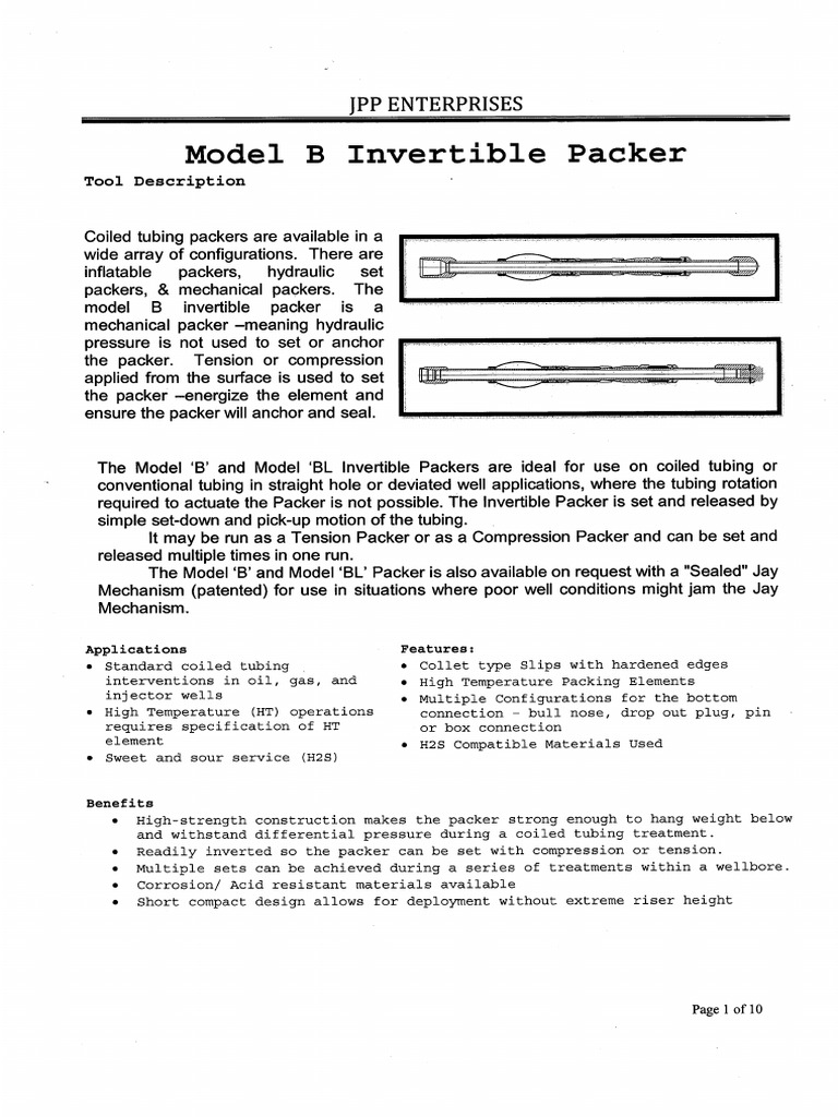 Invertible Packer - Manuale | PDF