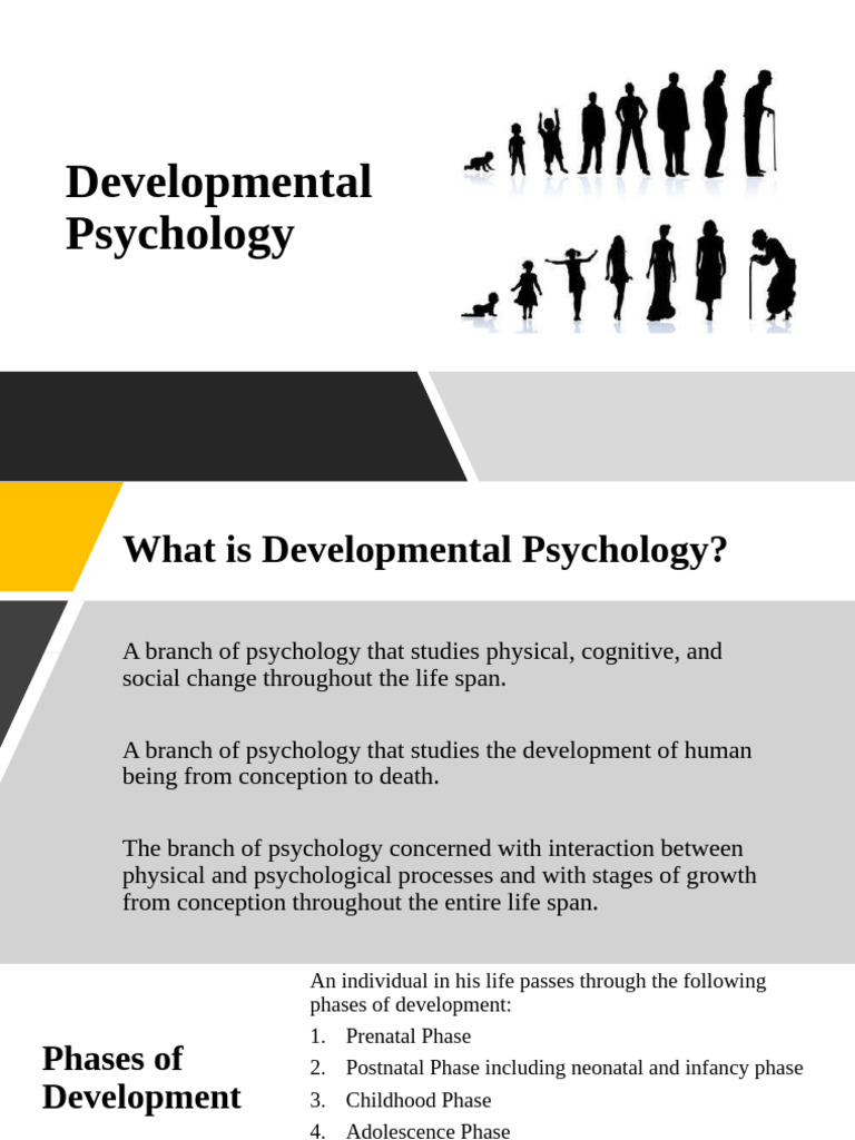 Overview of Developmental Psychology | PDF | Prenatal Development ...