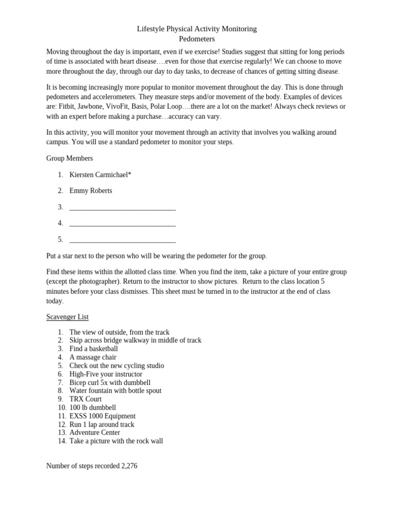 Rainy Day Pedometer Scavenger Hunt Worksheet NEW | PDF