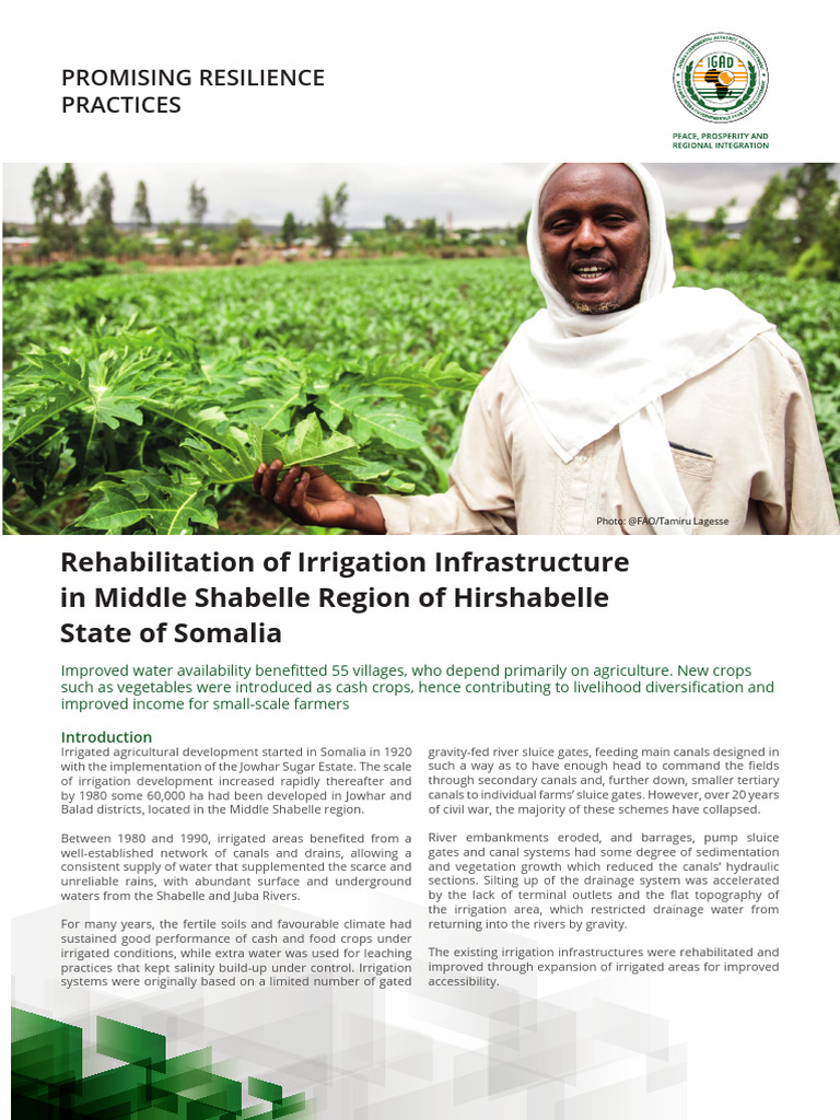 GP Somalia Rehabilitaton of Irrigation Infrastructure | PDF ...