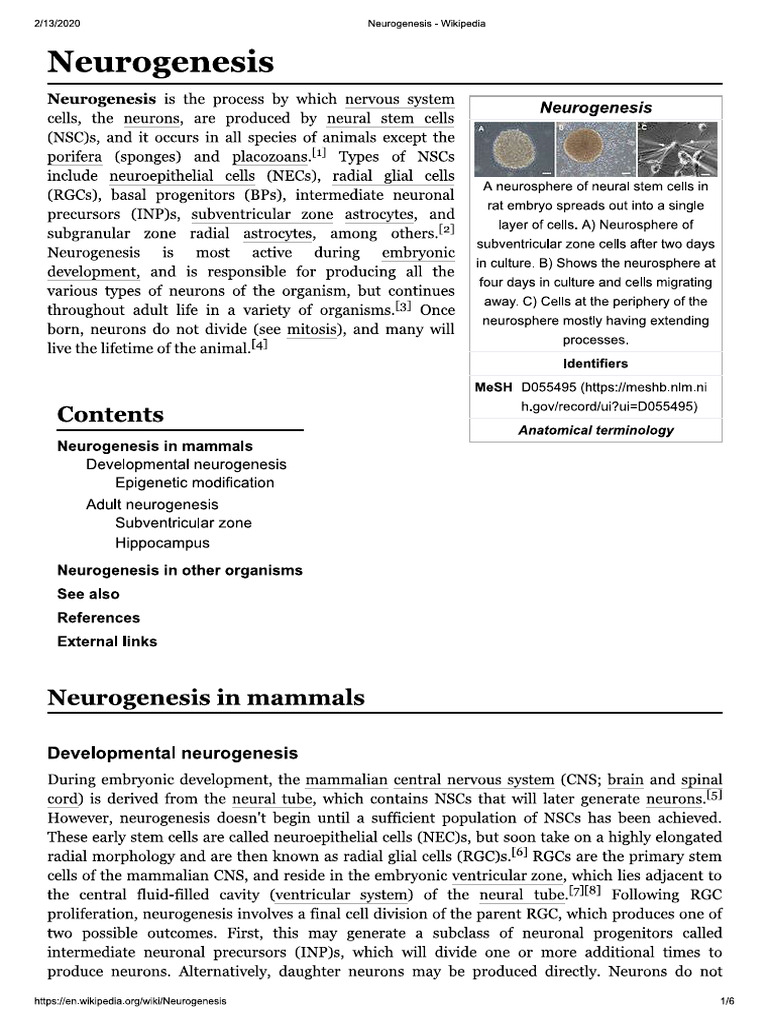 Neurogenesis - Wikipedia | PDF