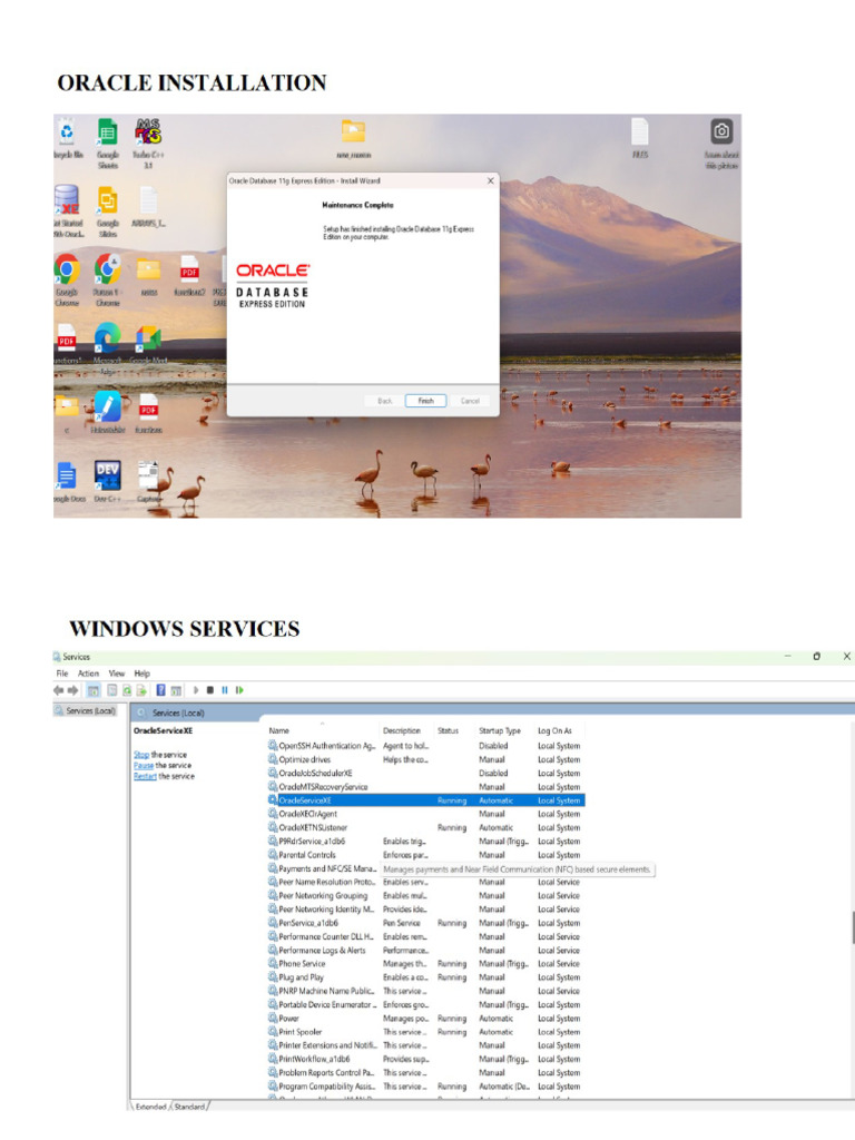 SQL PLSQL Aug24 | PDF