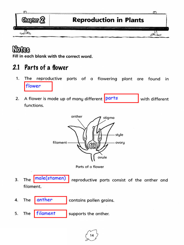 Parts and Functions of a Flower | PDF | Flowers | Pollination