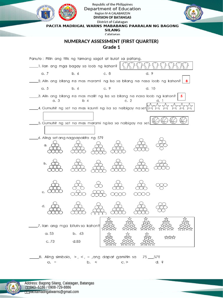 Grade 1 Numeracy Assessment Guide | PDF