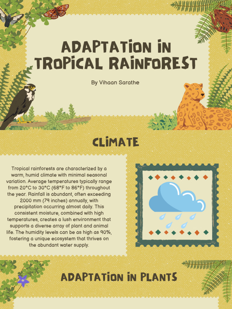 Adaptation in Tropical Rainforest - 20241104 - 102609 - 0000 | PDF ...