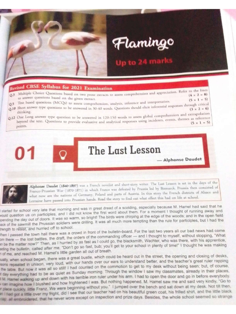 All Flamingo and Vistas Chapters-1 | PDF