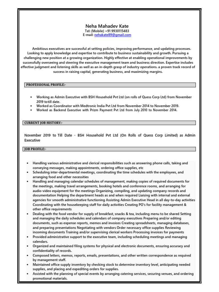 Neha Mahadev Kate: Professional Profile | PDF | Spreadsheet | Computing