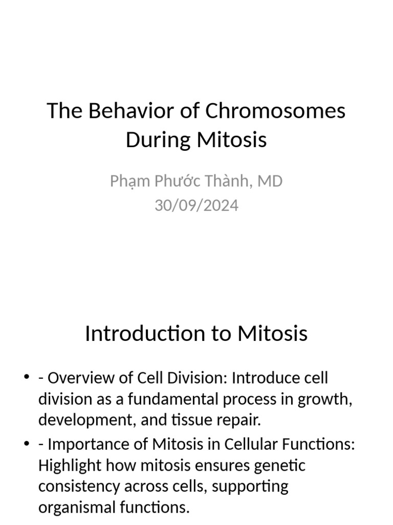 topic 4 mitosis | PDF | Mitosis | Cell (Biology)