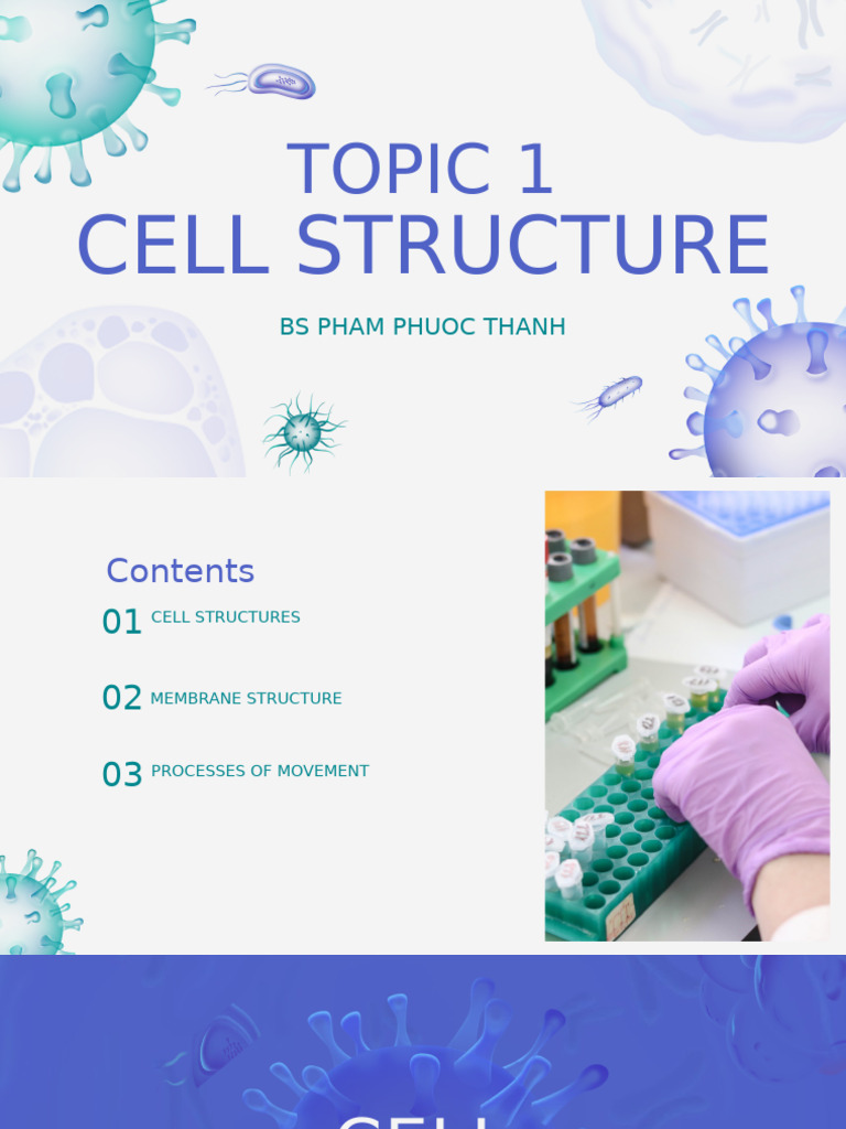 Topic 1 Cell Structure | PDF | Endoplasmic Reticulum | Cell Membrane
