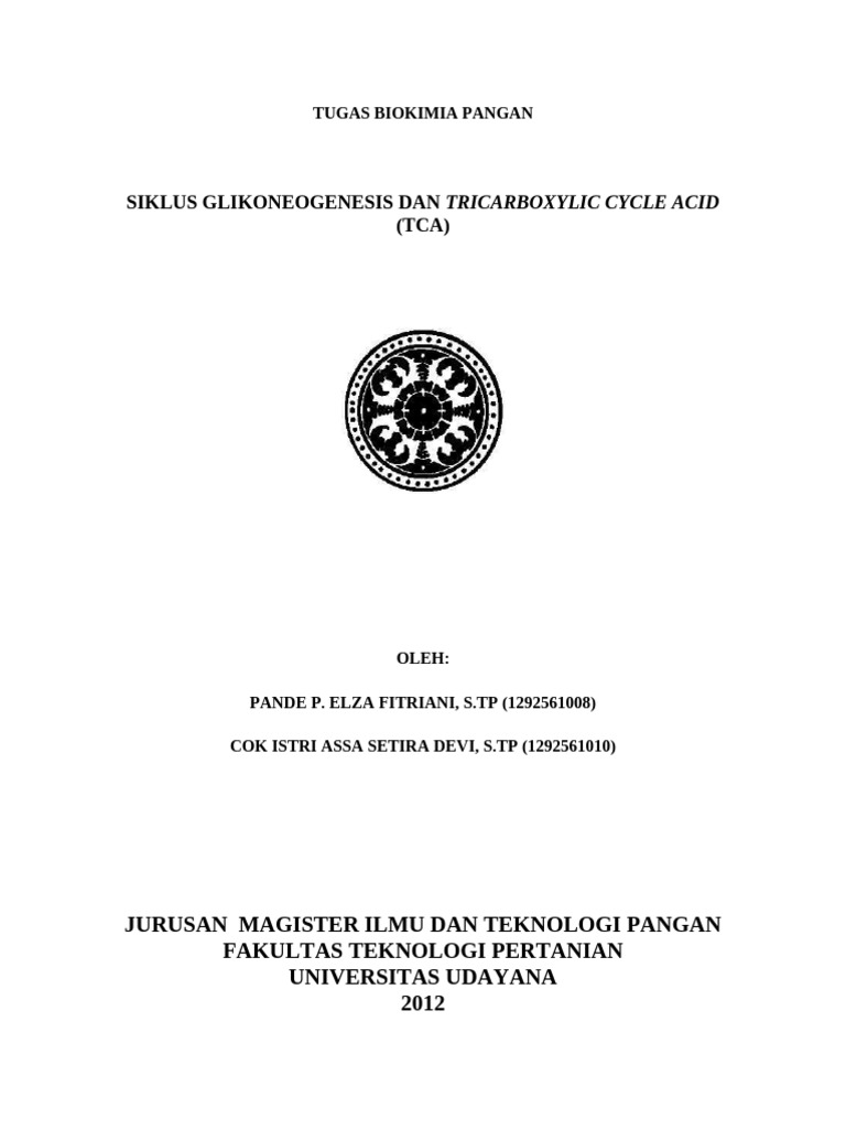 Glikoneogenesis Dan TCA | PDF