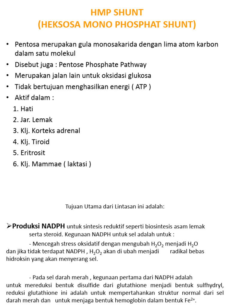 Heksosa Monophosphat Shunt | PDF