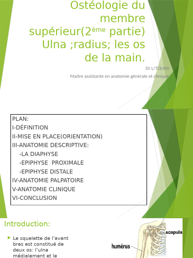 Osteologie Du Membre Superieur | PDF | Main | Membres (anatomie)