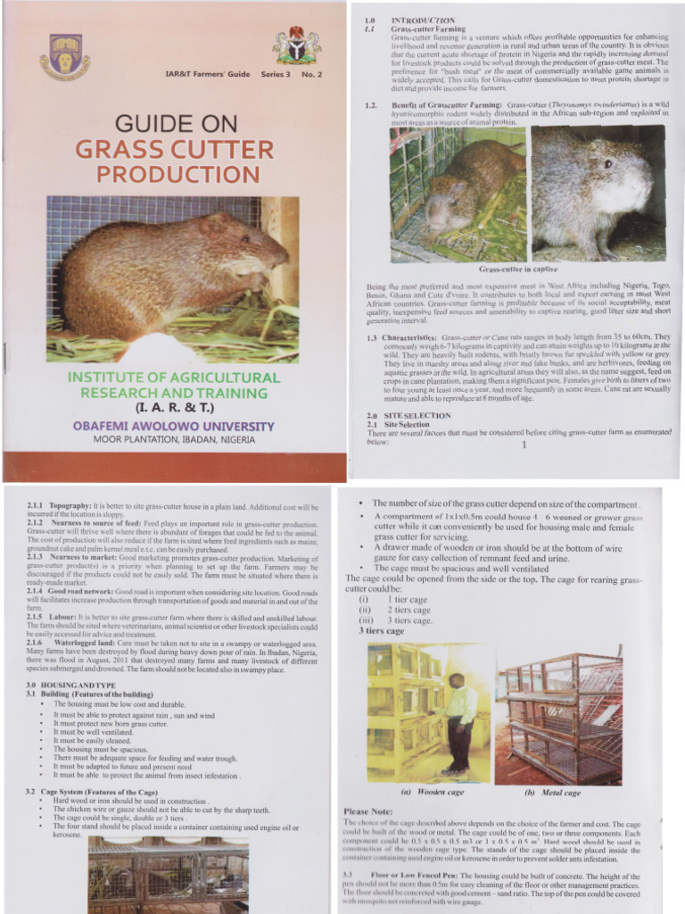 Grass Cutter Production | PDF
