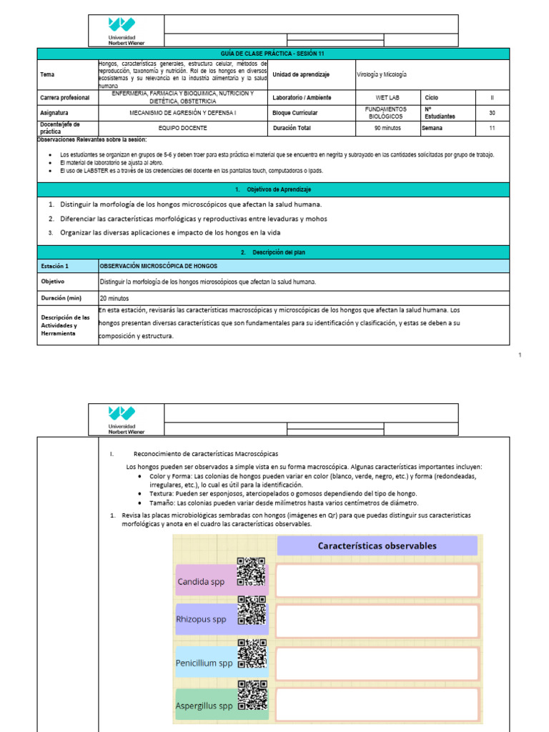 Mad 1 S11 - 241107 - 101321 | PDF | Hongo | Levadura