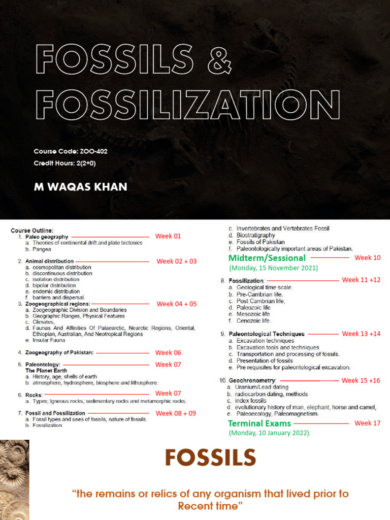 08-Fossils | PDF | Fossil