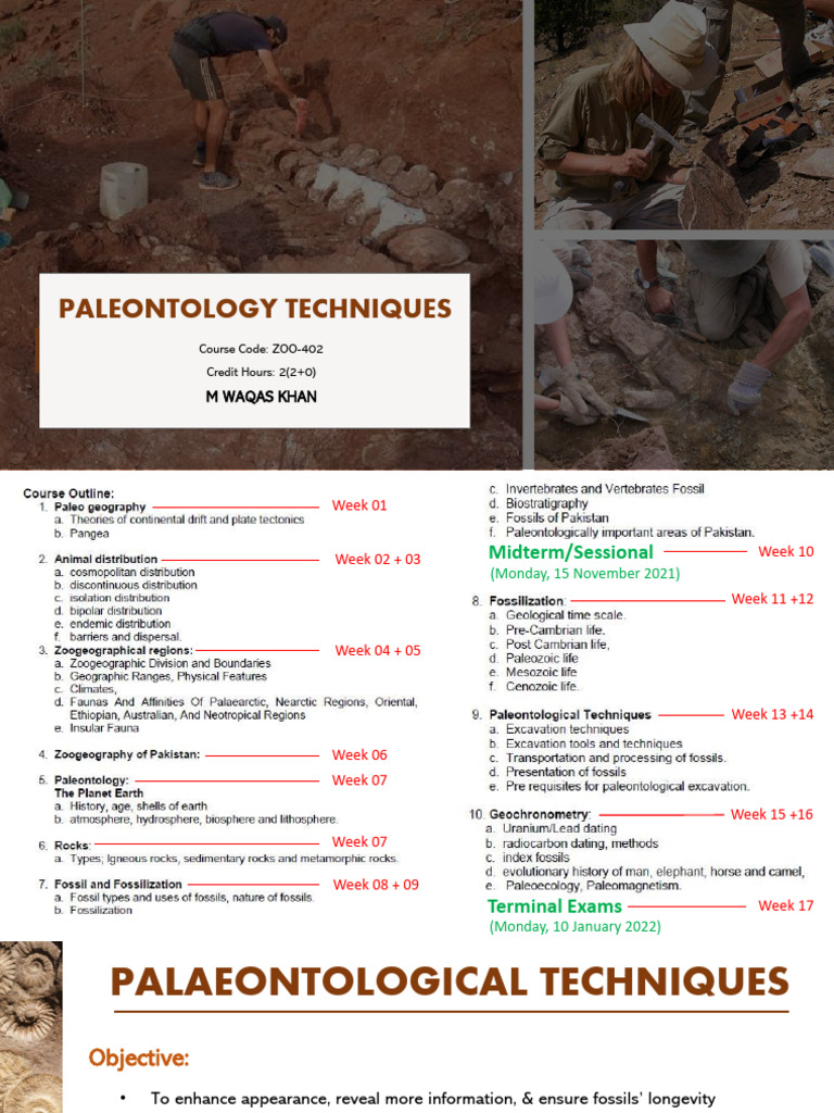 16 Palaeontological Techniques | PDF | Packaging And Labeling | Adhesive