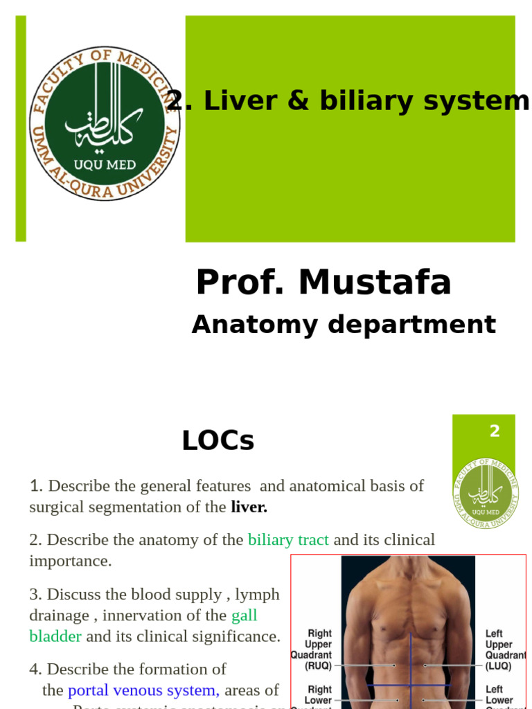 Liver & Biliary System | PDF | Liver | Gallbladder