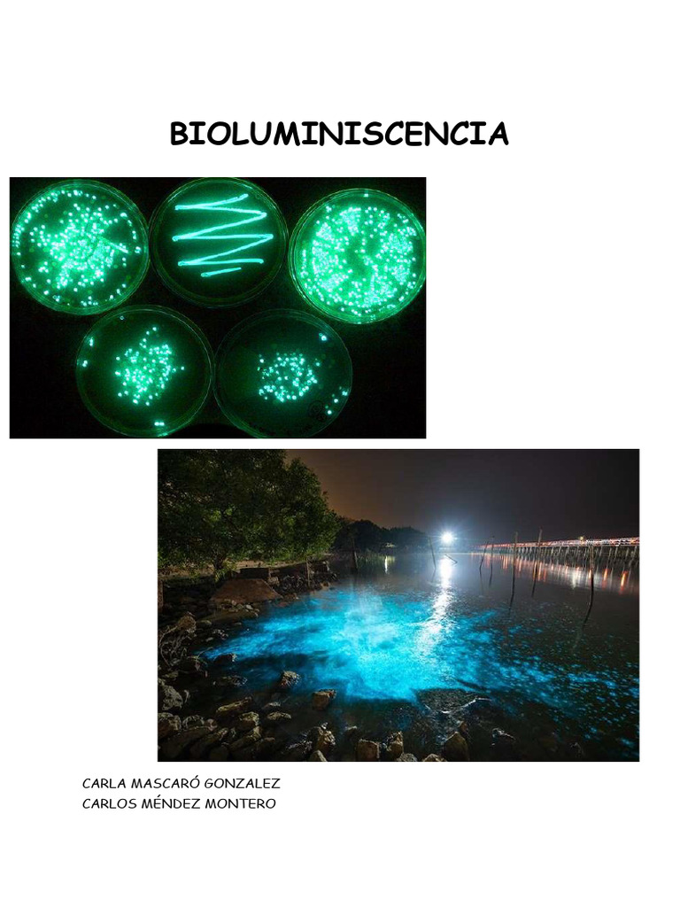 Bioluminiscencia: Procesos y Aplicaciones | PDF | Biología | Bioquímica