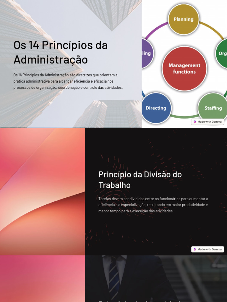 14 Princípios da Administração | PDF | Comunicação | Inovação