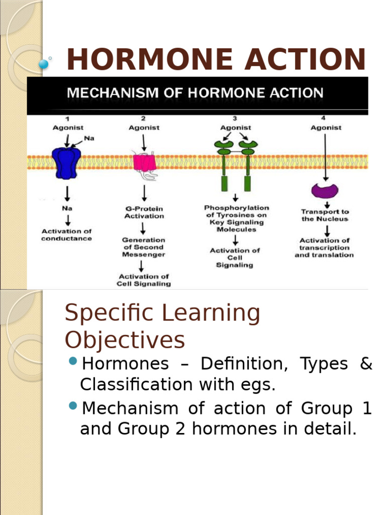 Hormone Action: Types and Mechanisms | PDF | Hormone | Kinase