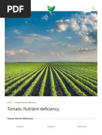 Mulder S Chart | PDF | Plant Nutrition | Nutrients