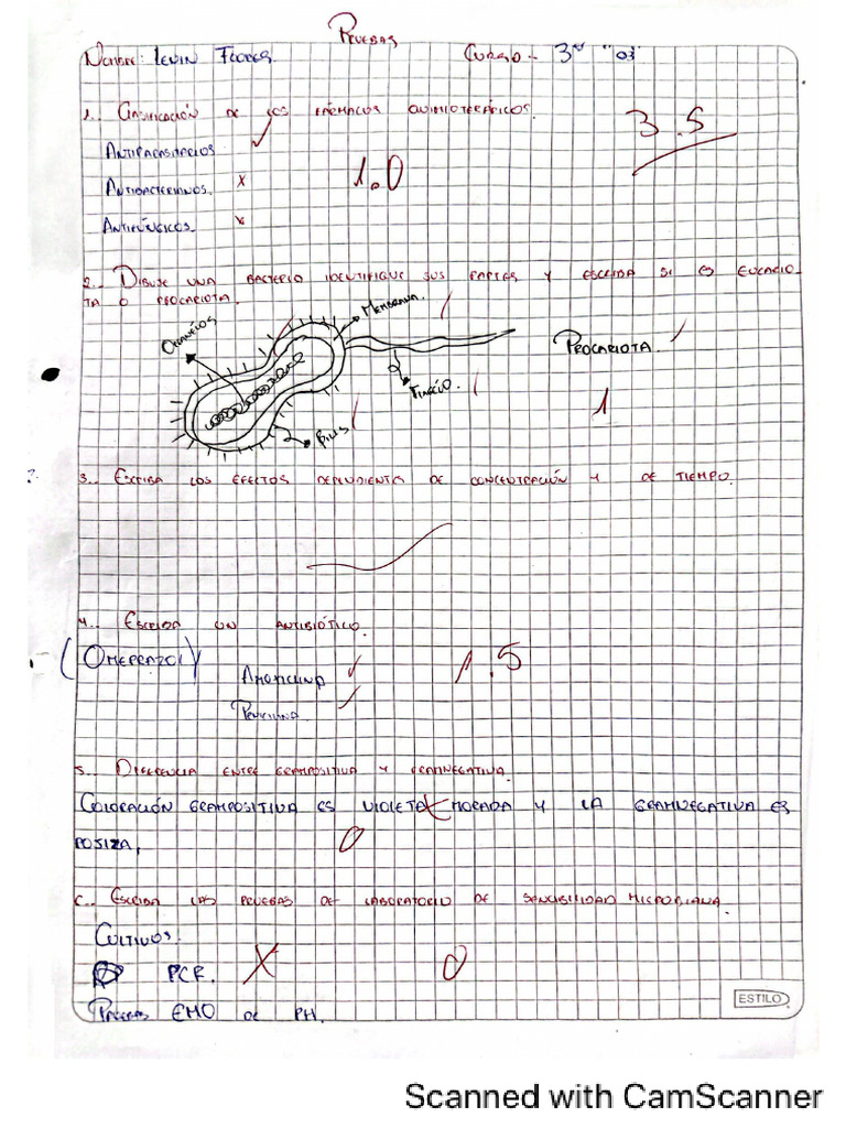 Quim Iot Era Pia | PDF