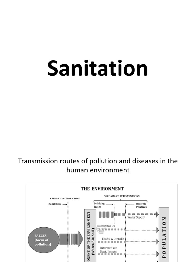 Sanitation | PDF | Sanitation | Toilet