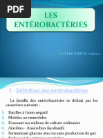 Caractéristiques des entérobactéries | PDF | Escherichia coli | Salmonelle