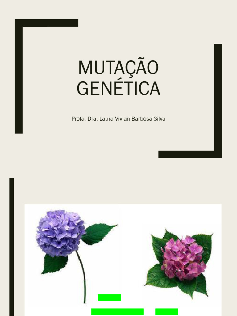 Tipos e Causas de Mutações Genéticas | PDF | Mutação | Genética
