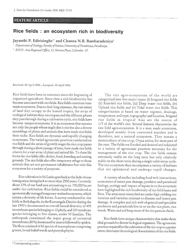 An Ecosystem Rich in Biodiversity: Rice Fields | PDF | Rice | Biodiversity