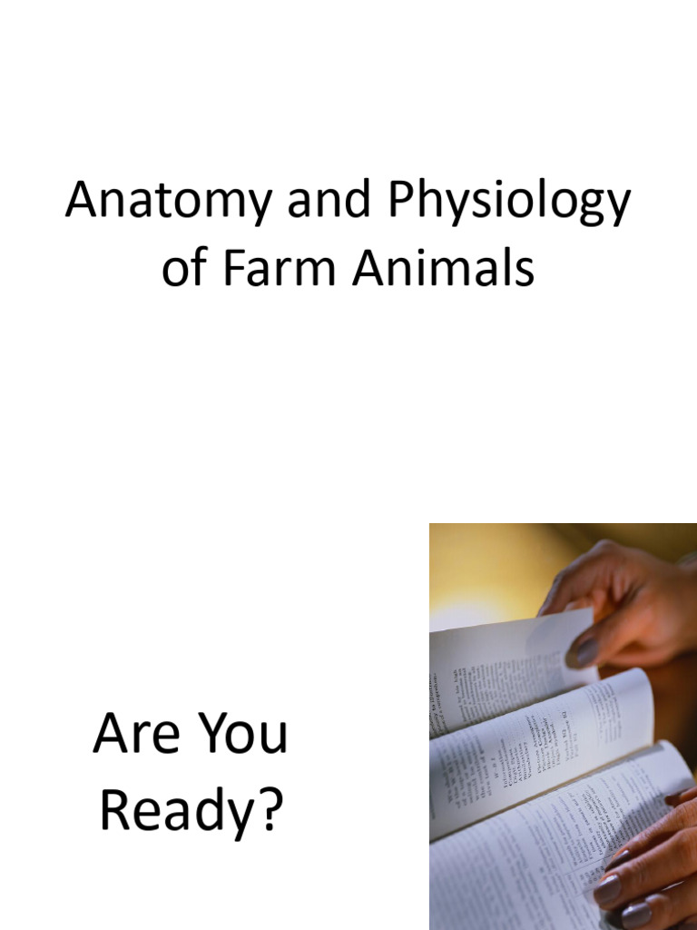 Anatomy and Physiology of Farm Animals PDF | PDF | Stomach | Small ...