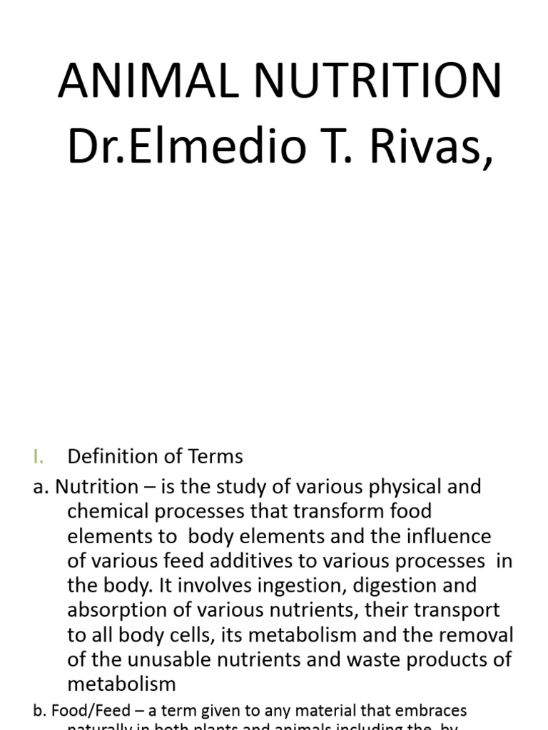 Understanding Animal Nutrition Basics | PDF